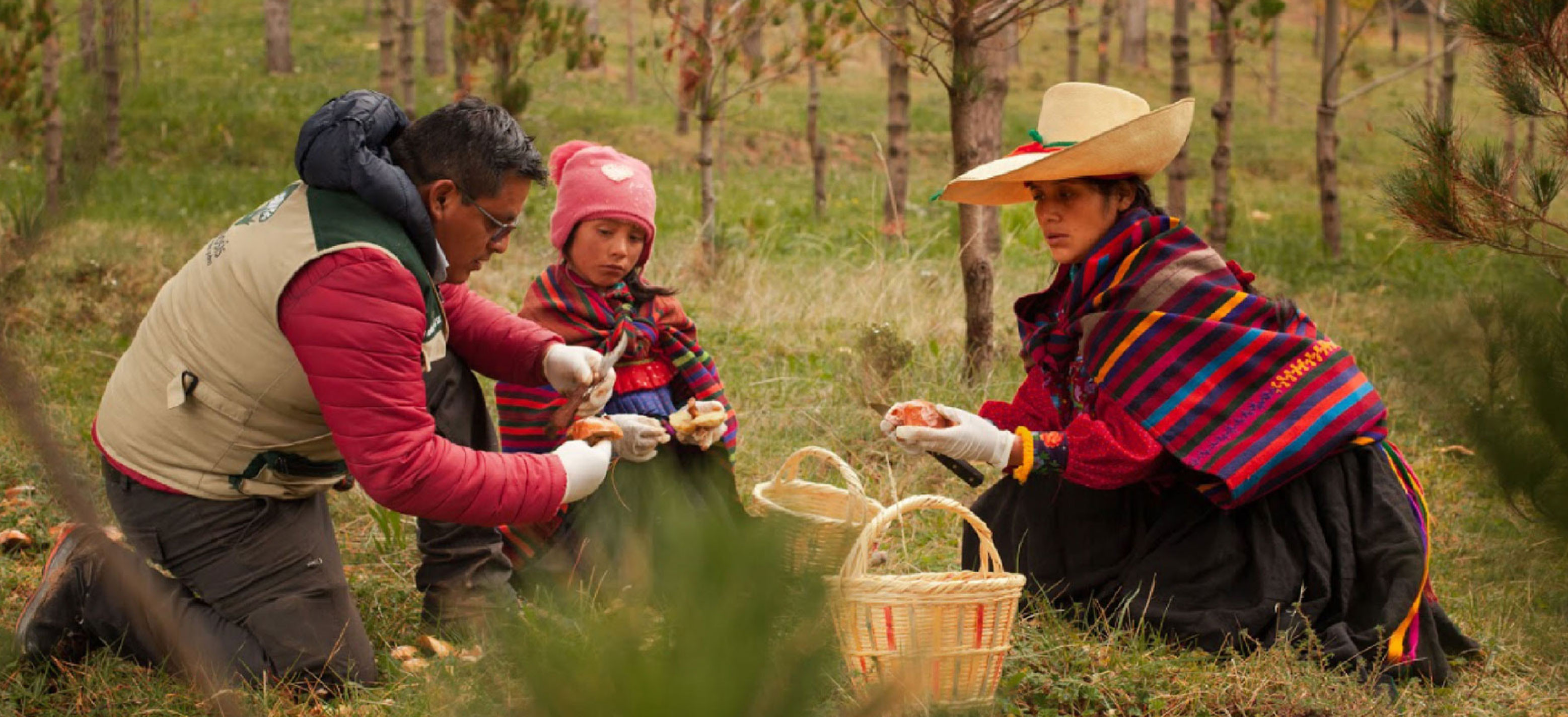PERUMIN 37 Convención Minera